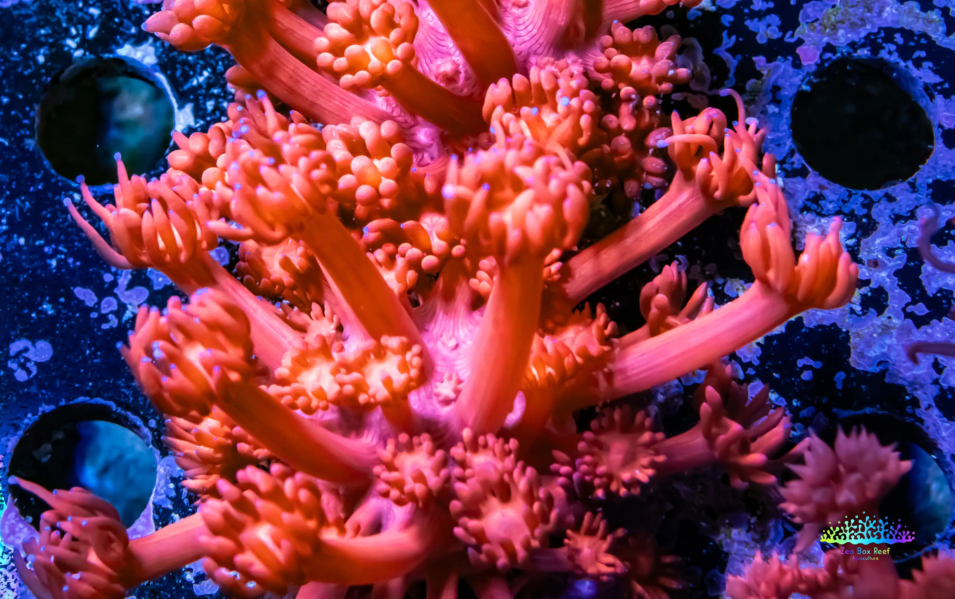 Add to cart Sold out